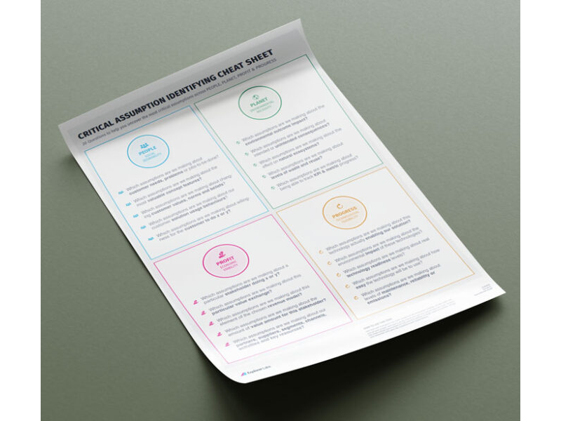 Critical Assumption Identifier Cheat Sheet | Sustainable Business ...